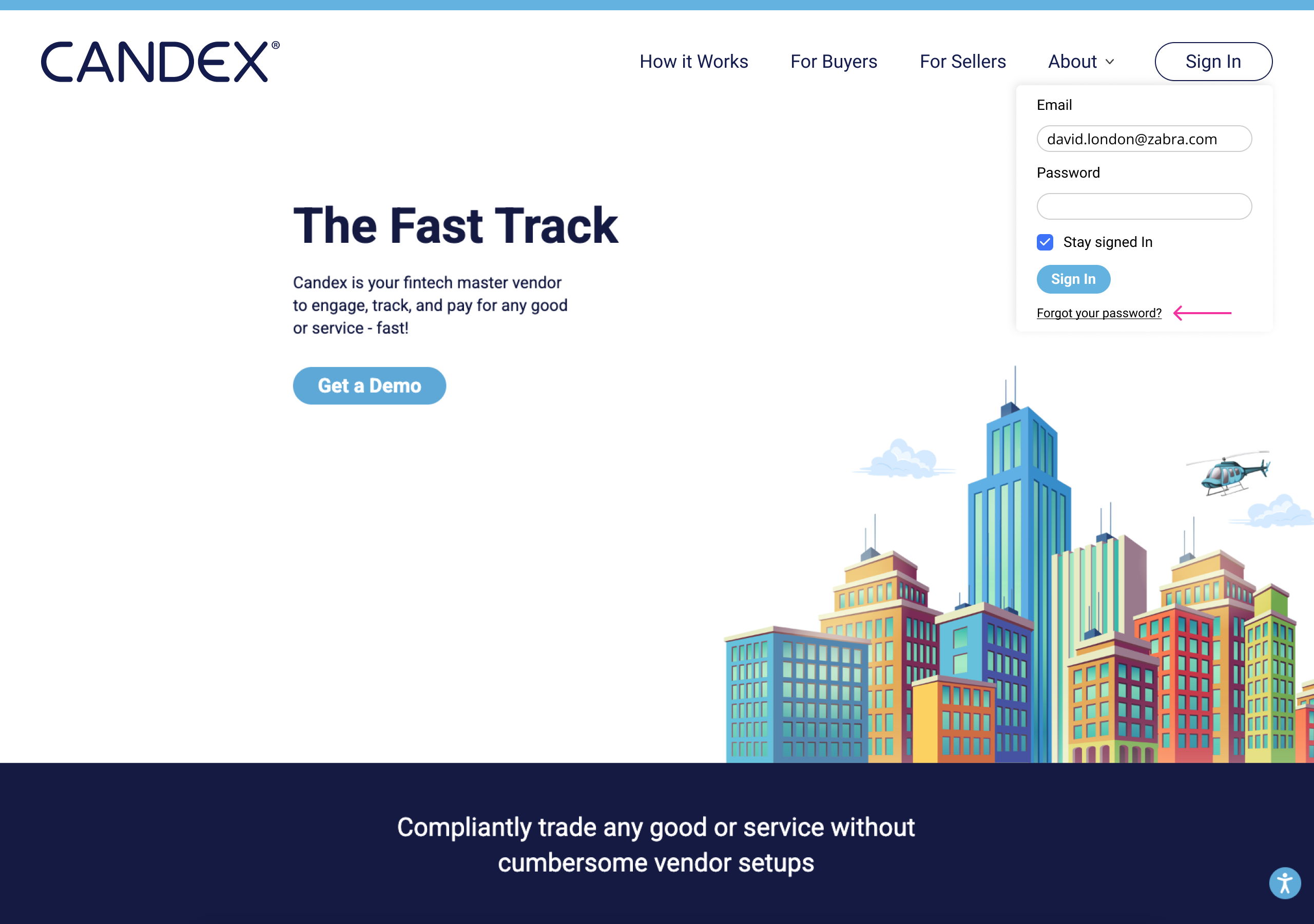 How Can I Reset My Password on Candex? – Candex